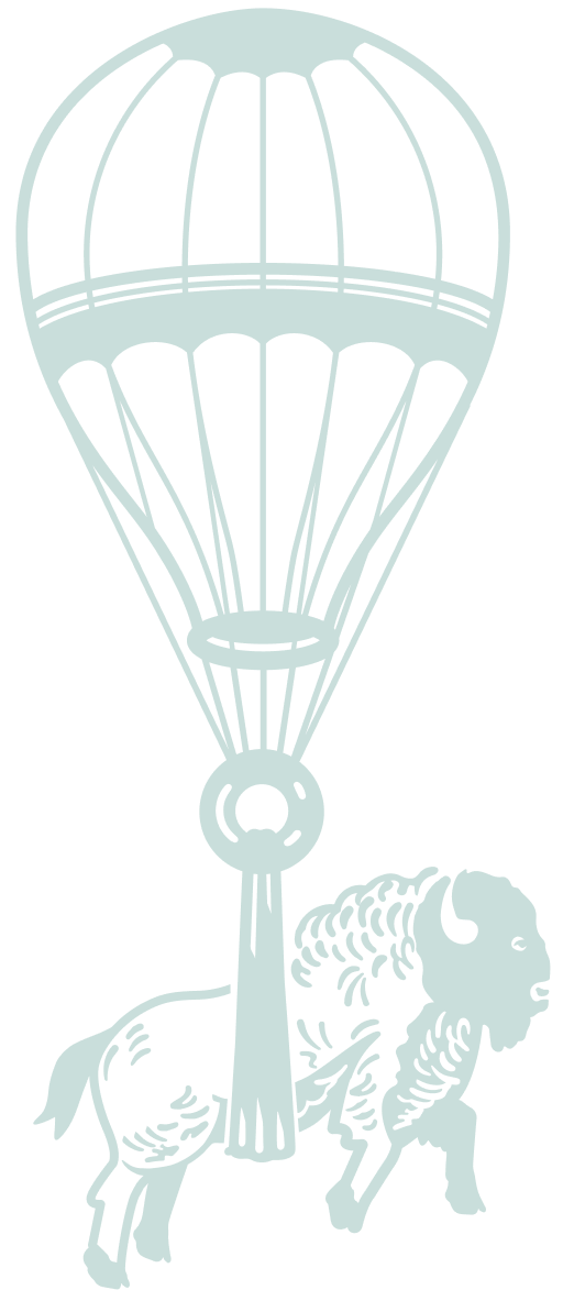 Buffalo Groupe: One Herd, One Heart – BGOne